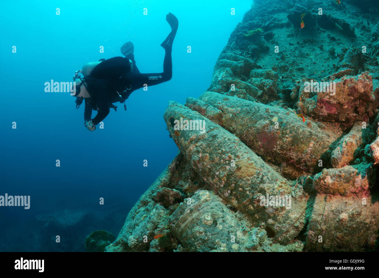 Male scuba diver at the large-caliber artillery shells on the wreck of ...