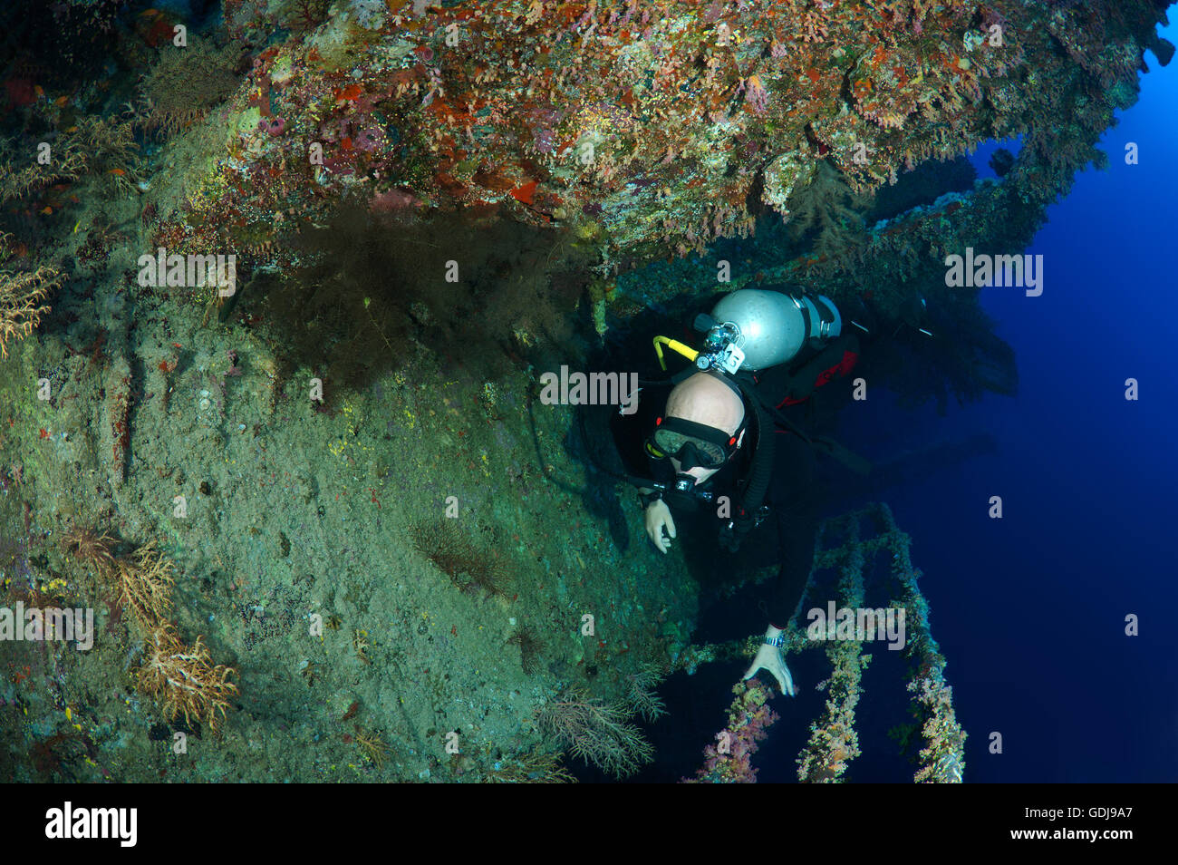 Male scuba diver at the wreck of the Numidia, Big Brother reef ...
