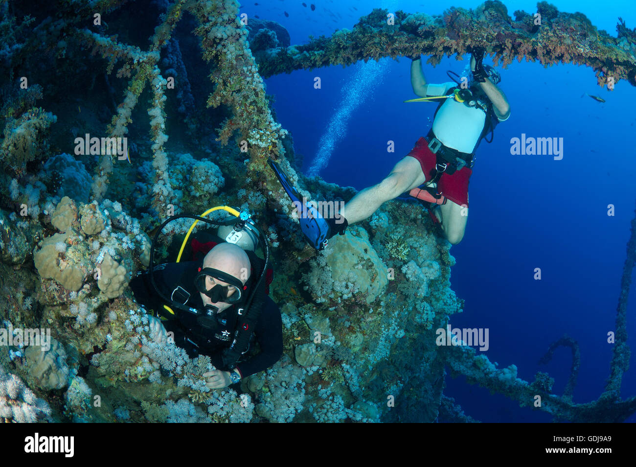 Two male scuba diver inside the wreck of the Numidia, Big Brother reef ...