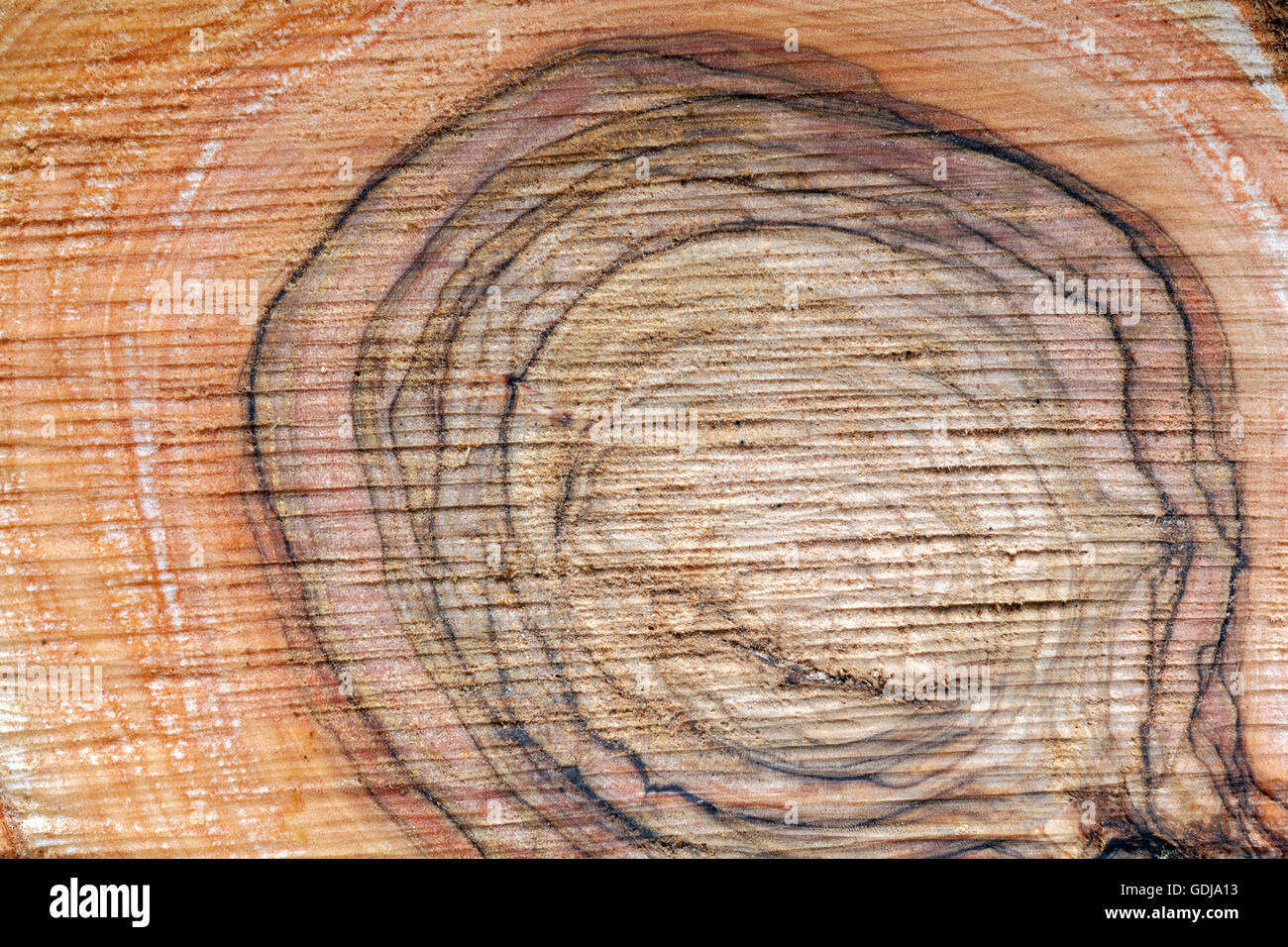 Olive wood grain hi-res stock photography and images - Alamy