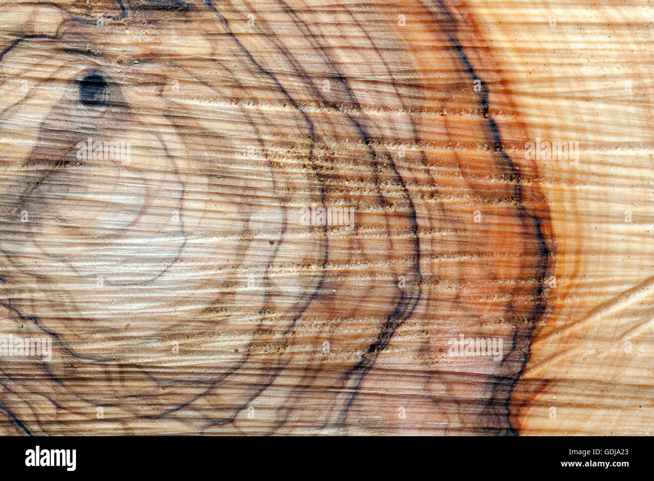Olive wood rustic texture hi-res stock photography and images - Alamy