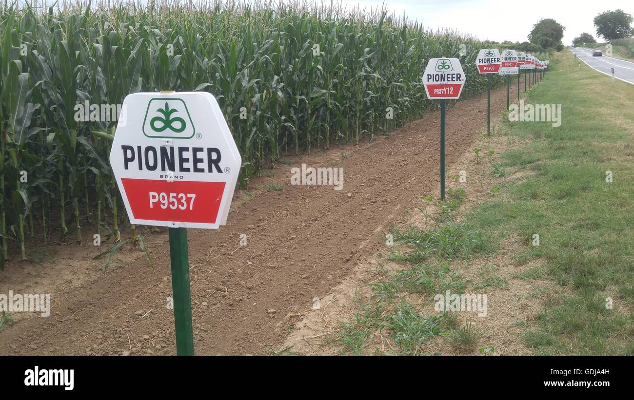 Seed corn companies hi-res stock photography and images - Alamy