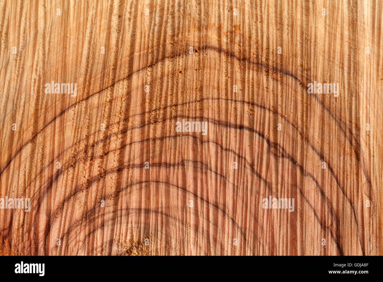 Natural background olive tree hi-res stock photography and images - Alamy