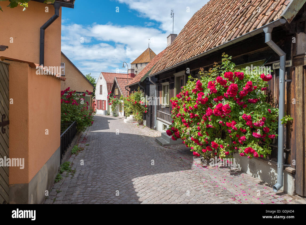 Historic Hanse town Visby on Swedish Baltic sea island Gotland Stock ...