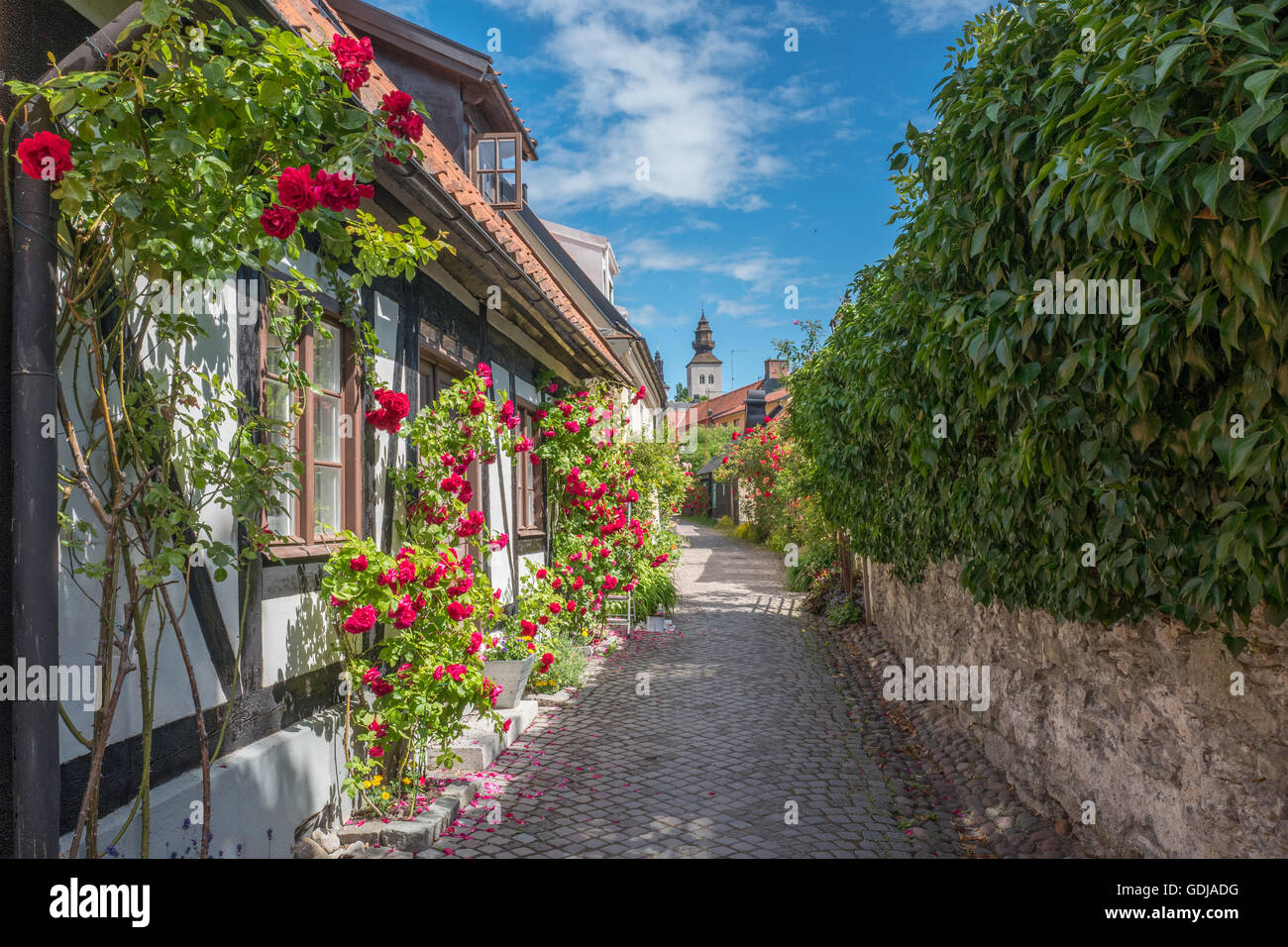 Visby Medieval City On Gotland High Resolution Stock Photography and ...