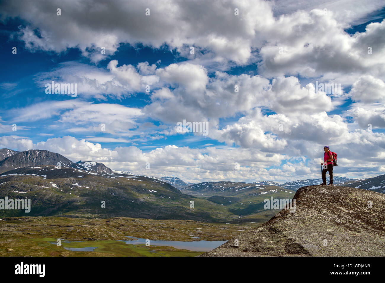 Solitary female walker hiker in red in wild mountains, Narvik, Arctic ...