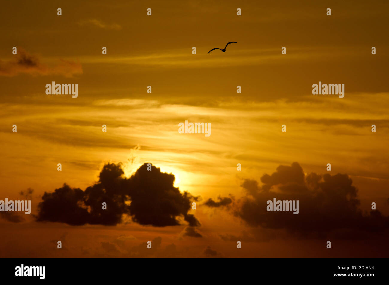 Sun rising over South Beach, Miami Stock Photo - Alamy