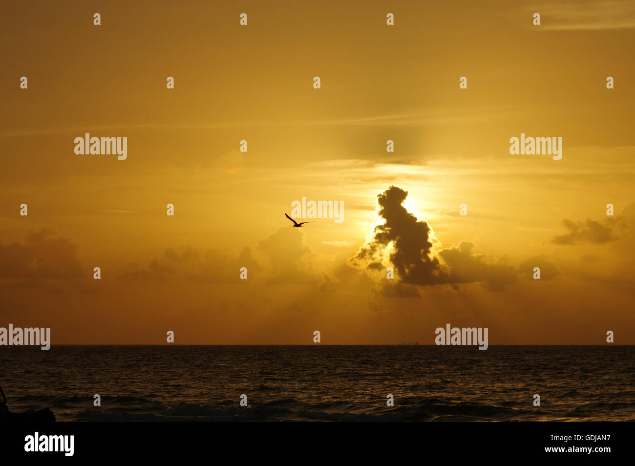 Rising sun beach hi-res stock photography and images - Alamy