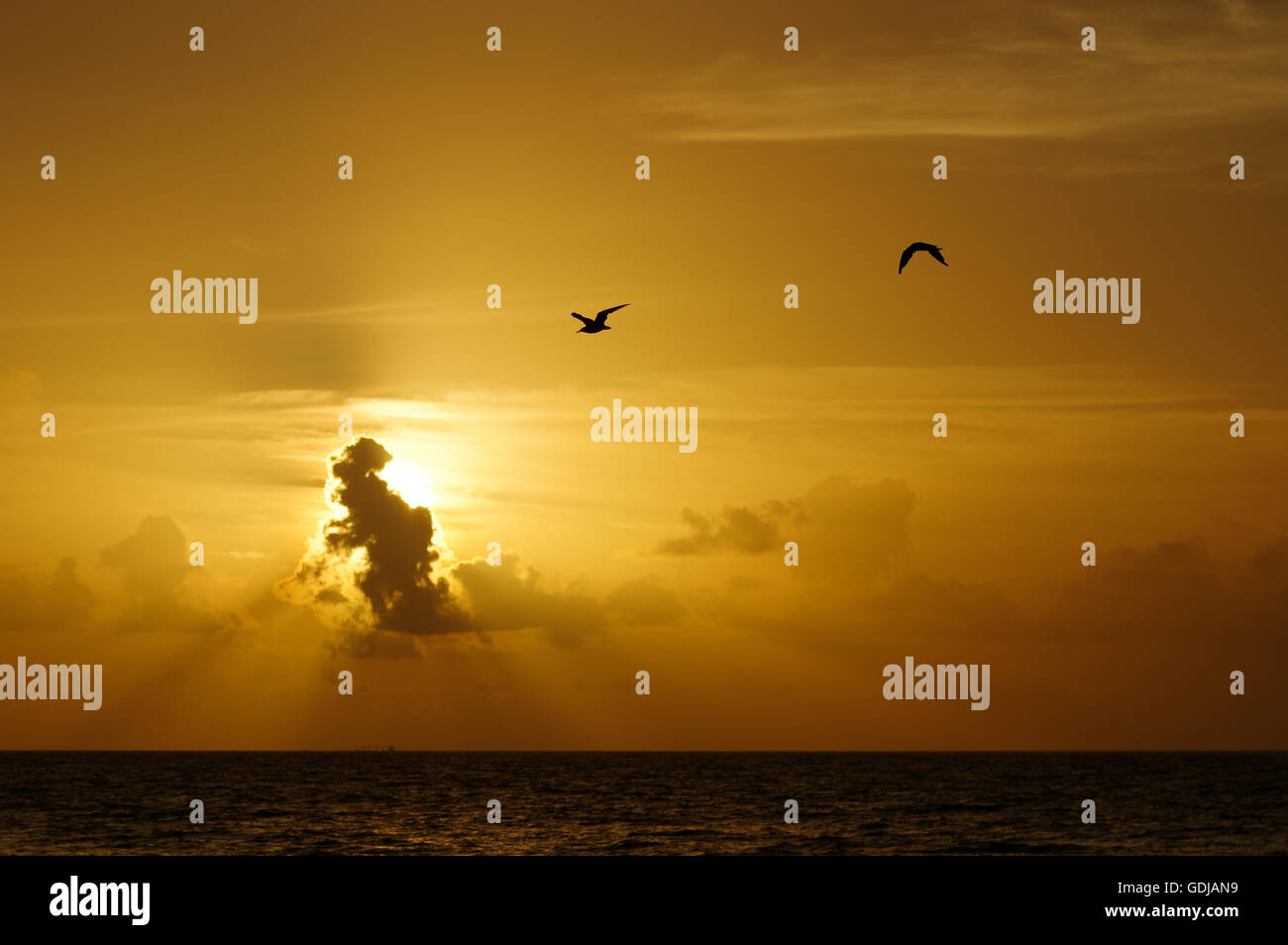 Sun rising over South Beach, Miami Stock Photo - Alamy