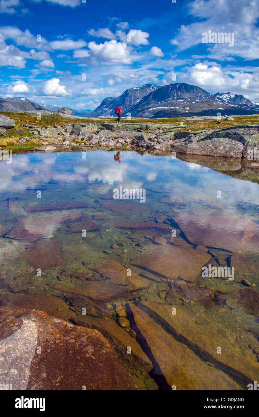Solitary female walker hiker with reflection in mountain lake in red in ...