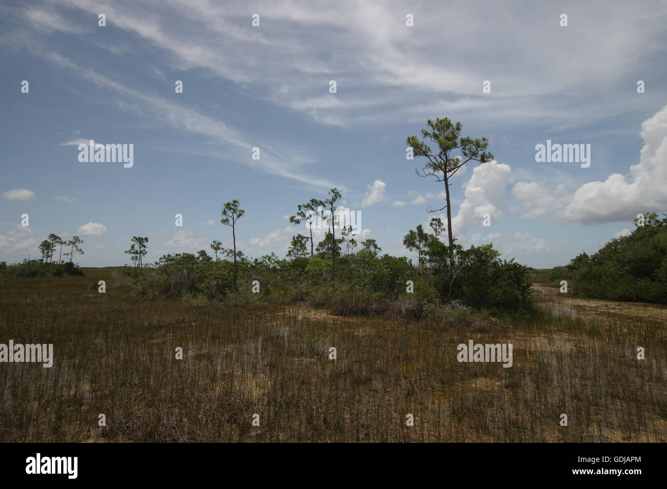 Scenic vistas of Everglades National Park, Florida Stock Photo - Alamy