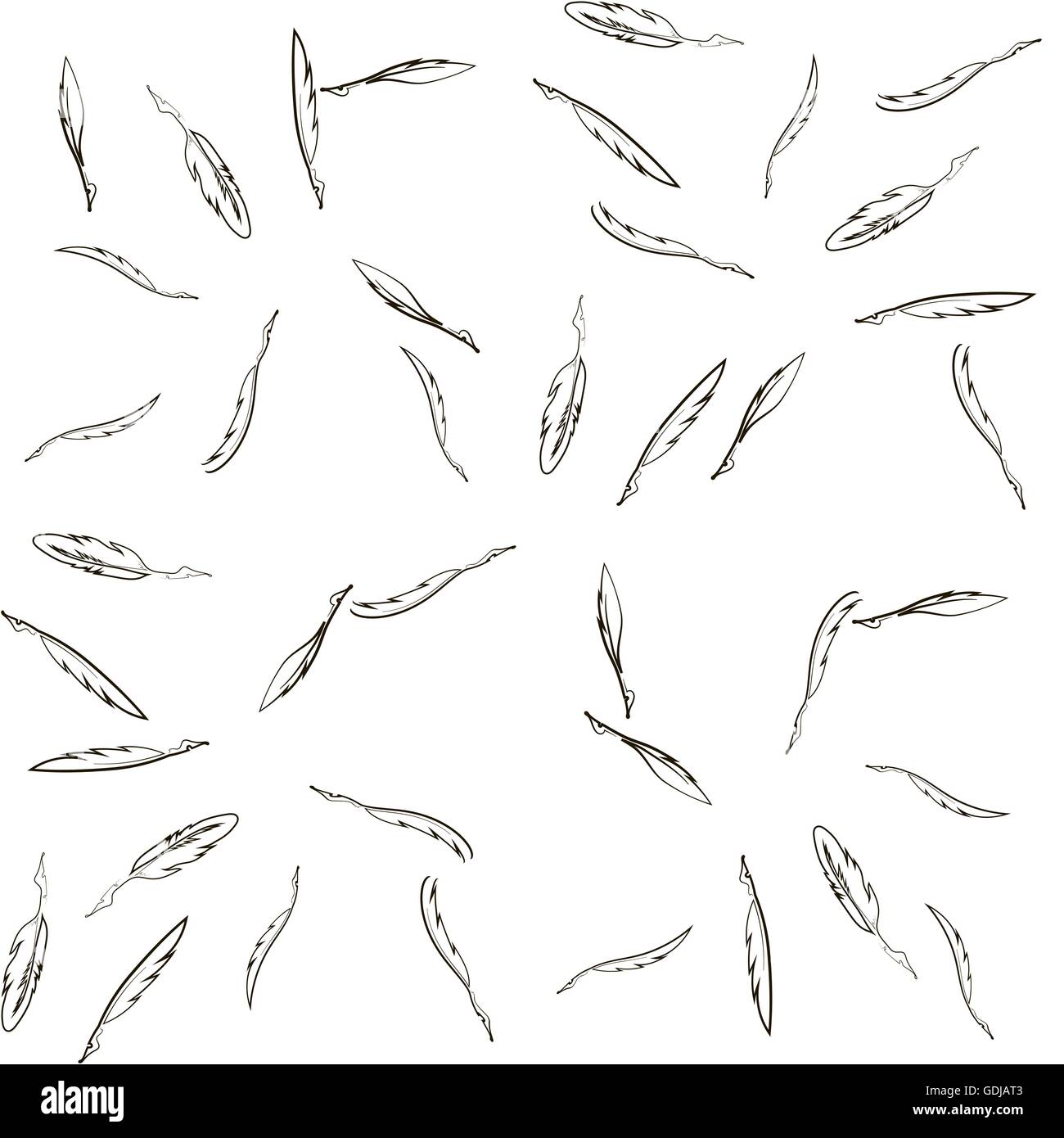 Vector Seamless Feather Pattern Stock Vector Image & Art - Alamy