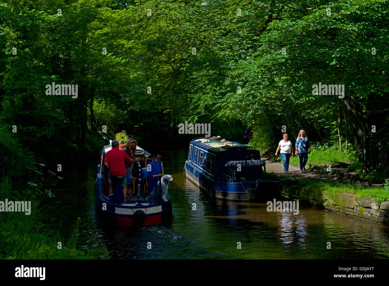 Narrowboats on the Peak Forest Canal, Whaley Bridge, Derbyshire ...