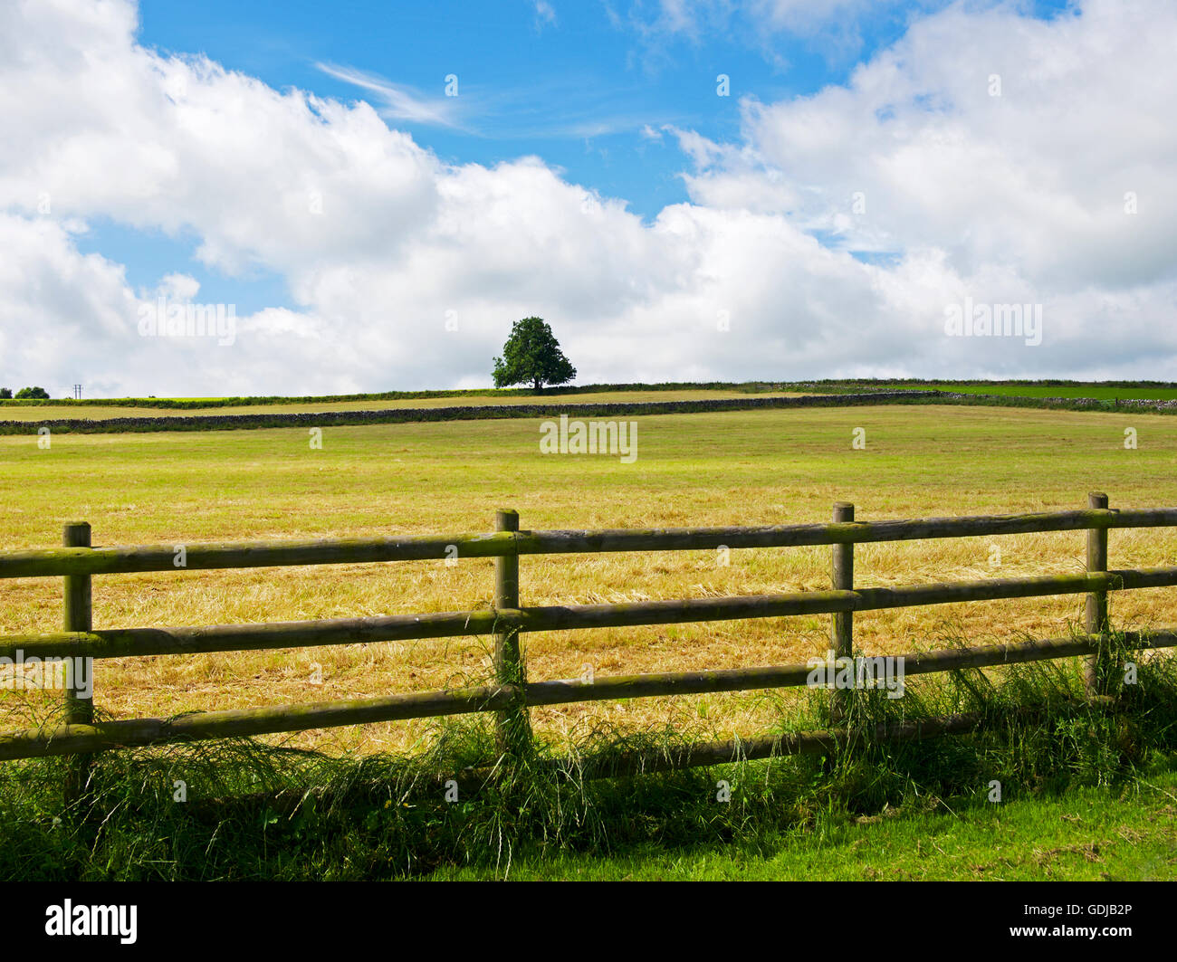 English field fence hi-res stock photography and images - Alamy