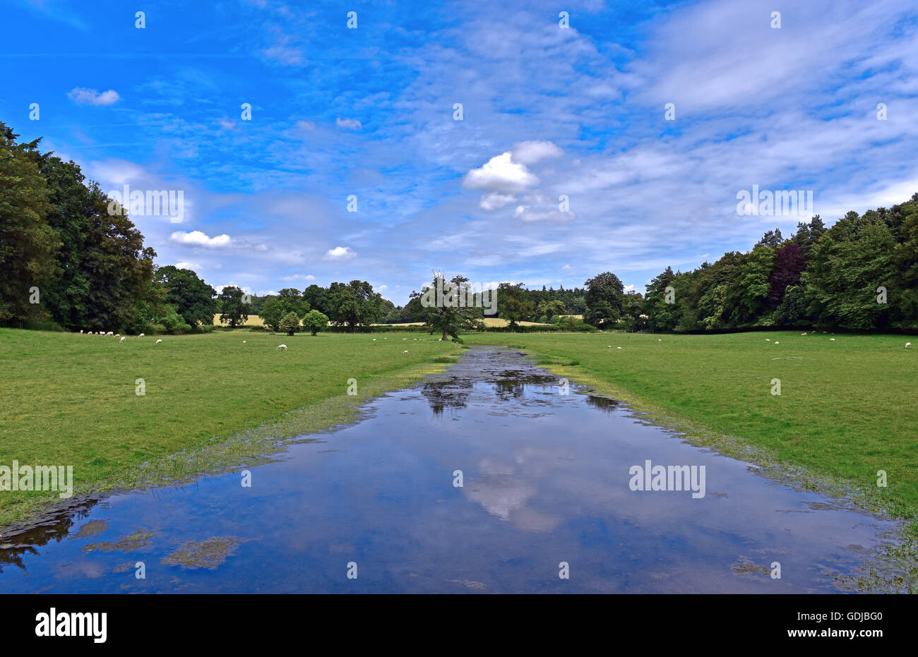 A beautiful man made lake looks like a river in the Norfolk countryside ...