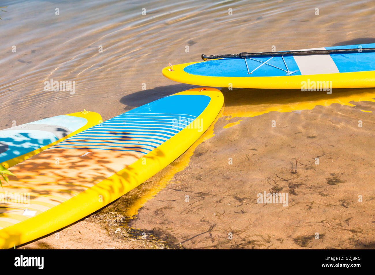 Paddleboards parked on the beach Stock Photo - Alamy