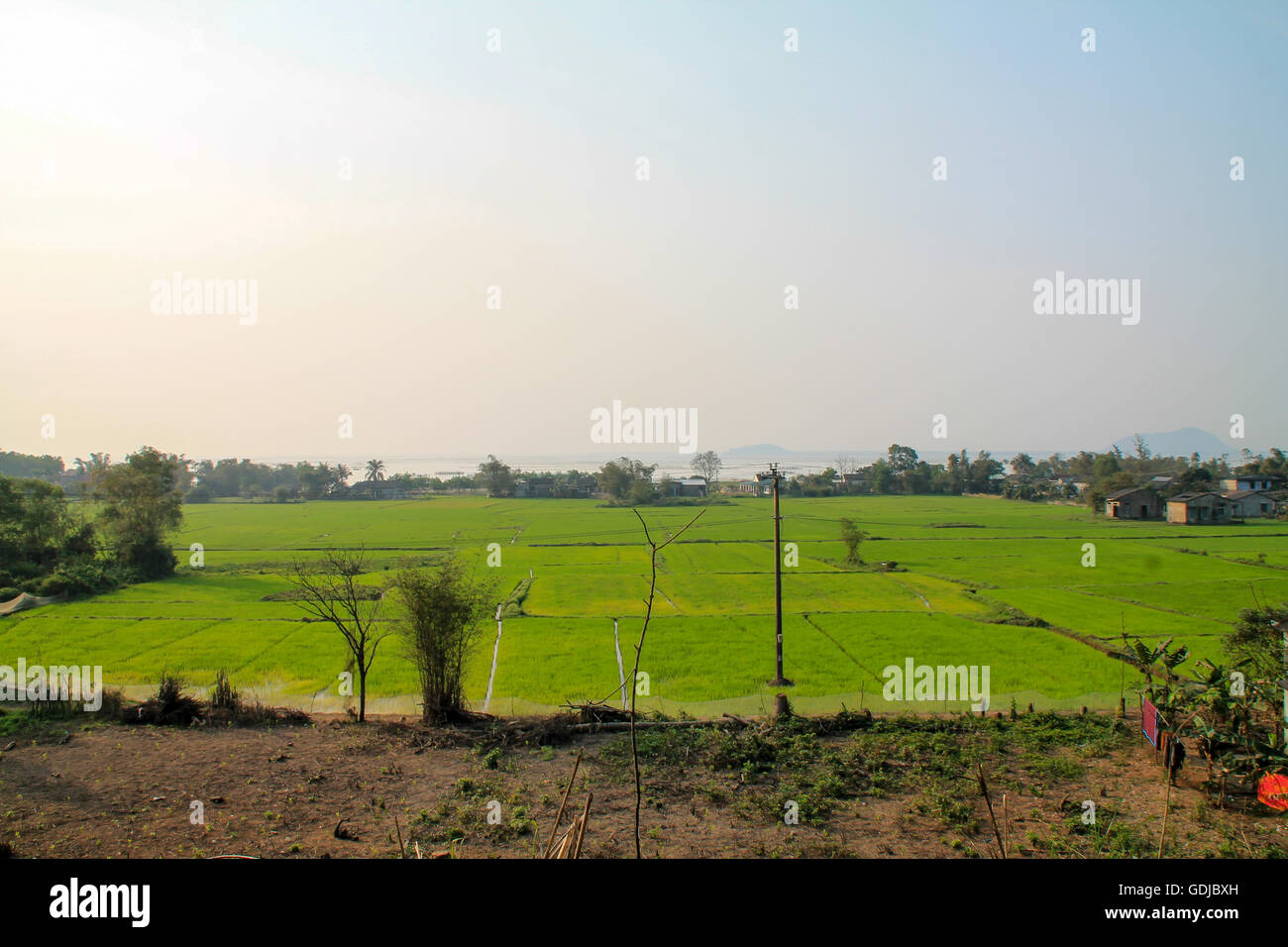 Rural countryside in Vietnam with rice fields Stock Photo - Alamy