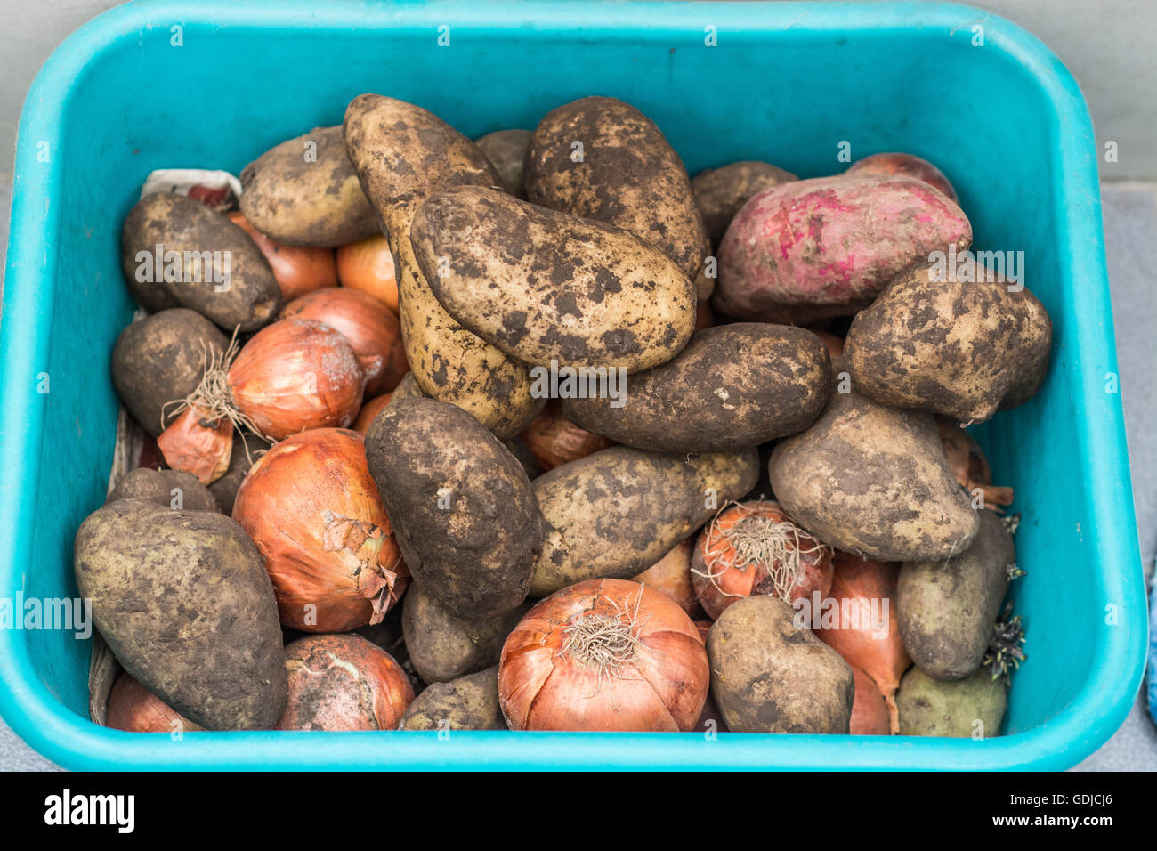 Vegetables inside a container Stock Photo - Alamy