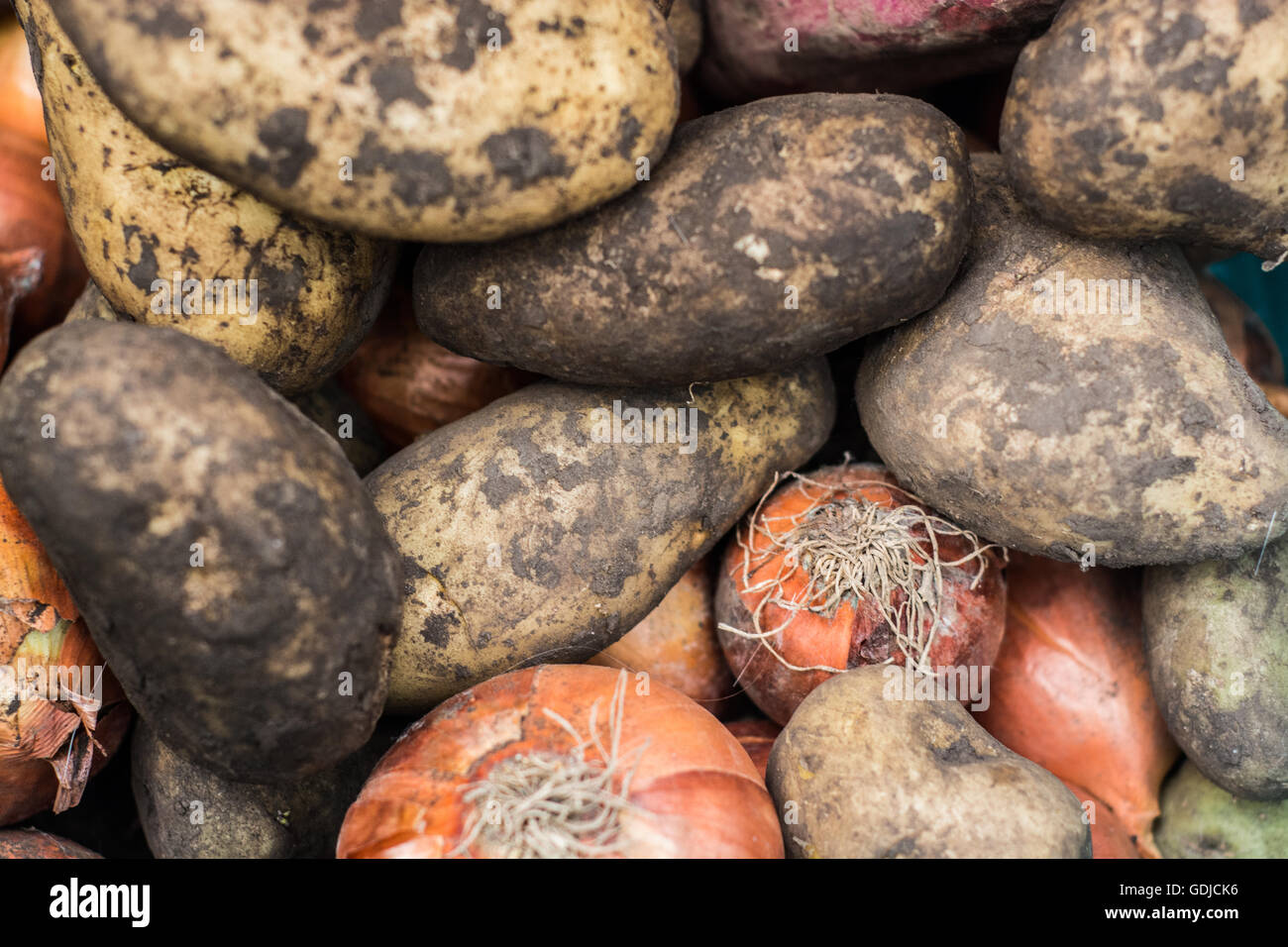 Vegetables inside a container Stock Photo - Alamy
