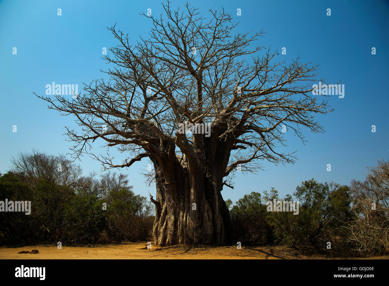 Pre Historic Sites In South Africa at Vernon Virgil blog