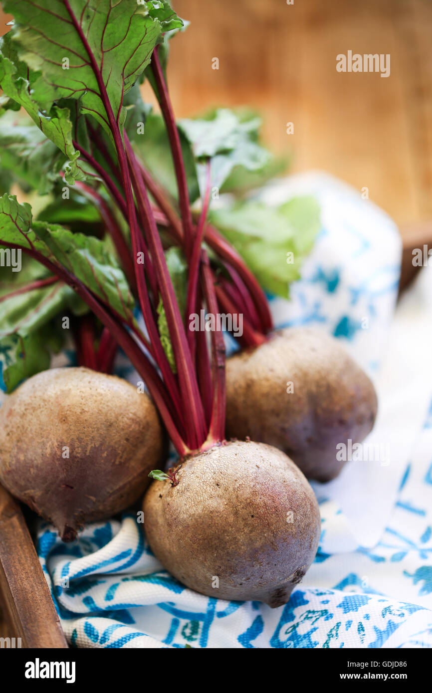 Beetroot on a white and blue dish cloth Stock Photo - Alamy