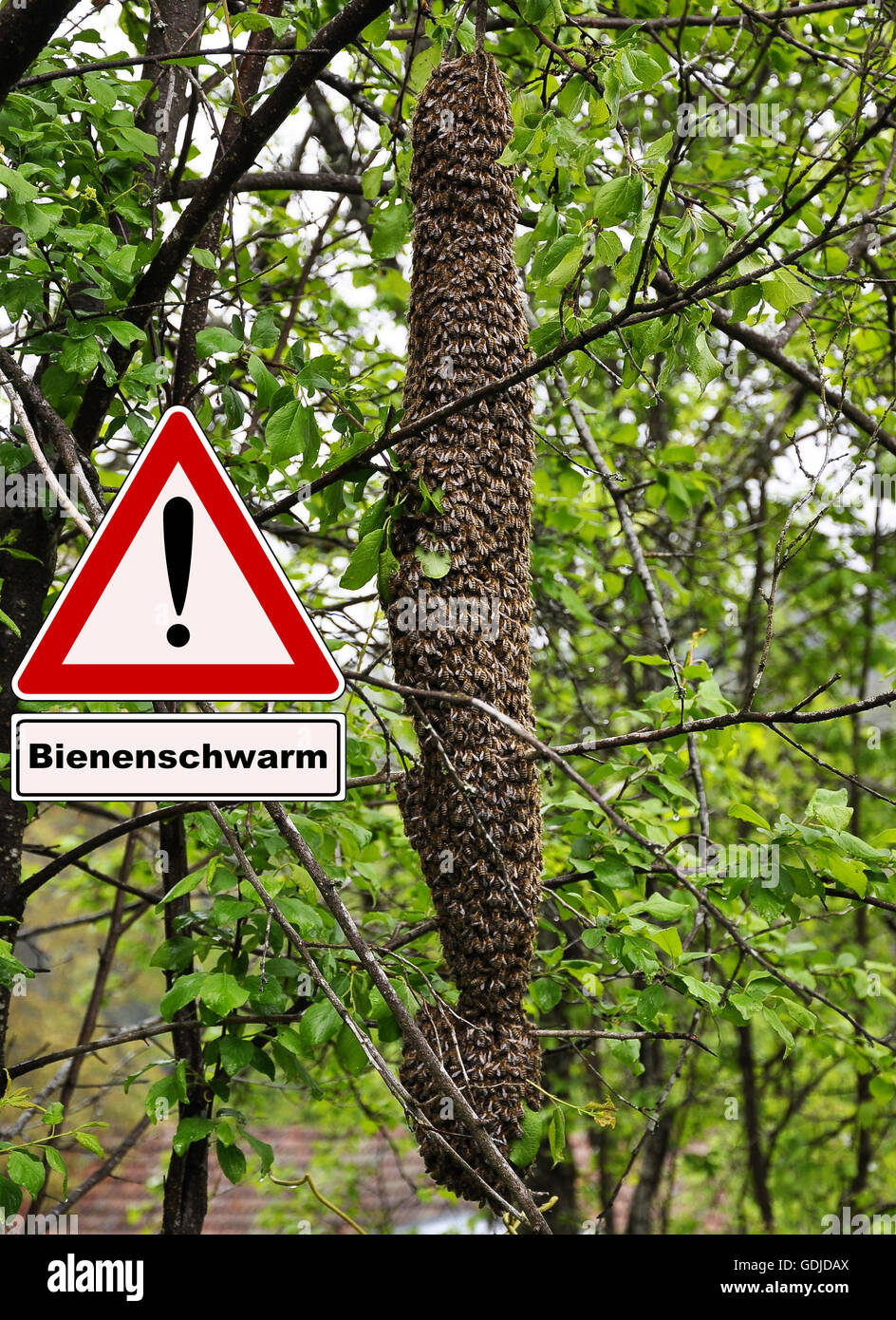 Swarm of bees attention sign Stock Photo - Alamy