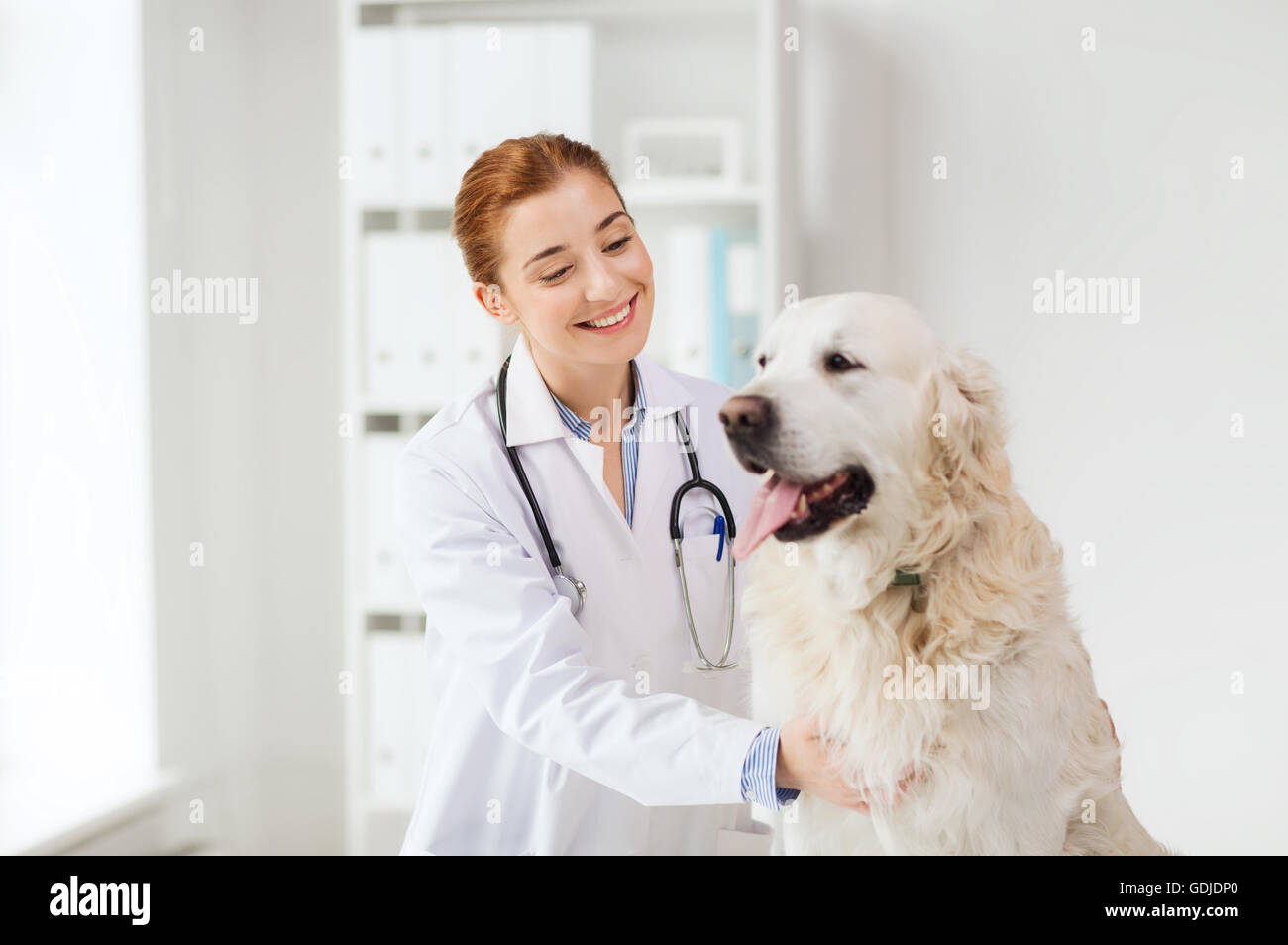 happy doctor with retriever dog at vet clinic Stock Photo - Alamy