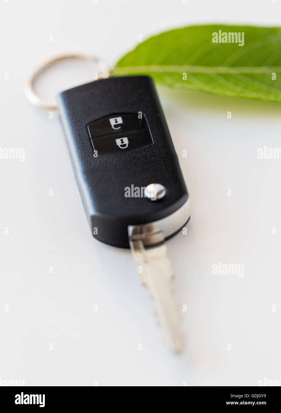 close up of car key and green leaf Stock Photo - Alamy