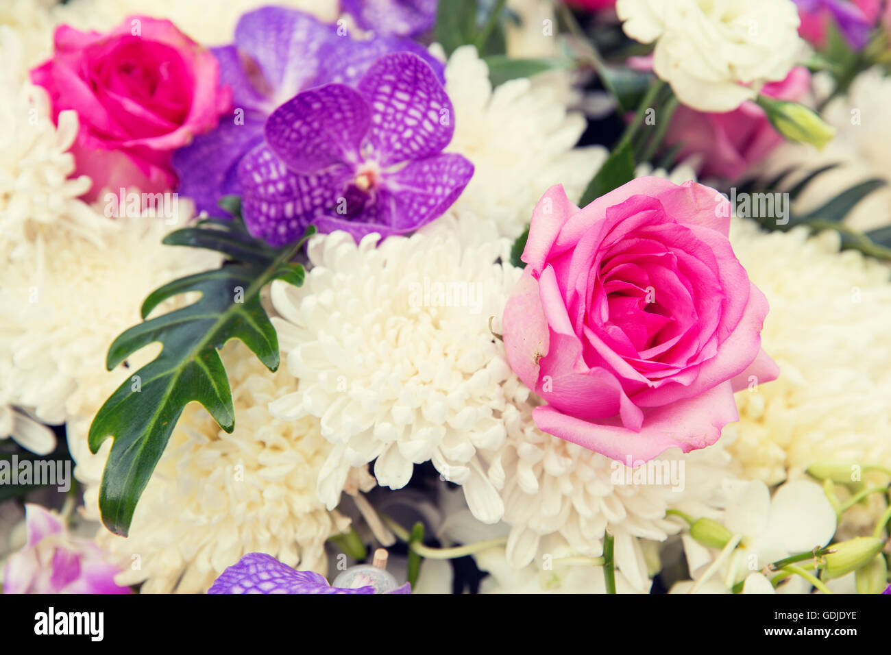 Beauty floristic decoration hi-res stock photography and images - Alamy