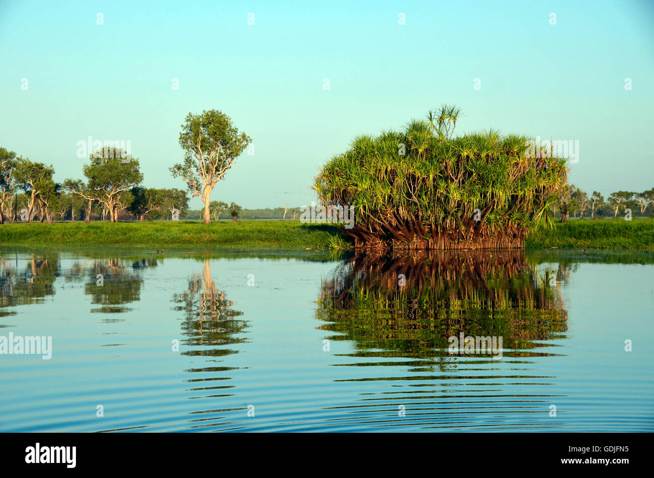 Green reflections hi-res stock photography and images - Alamy
