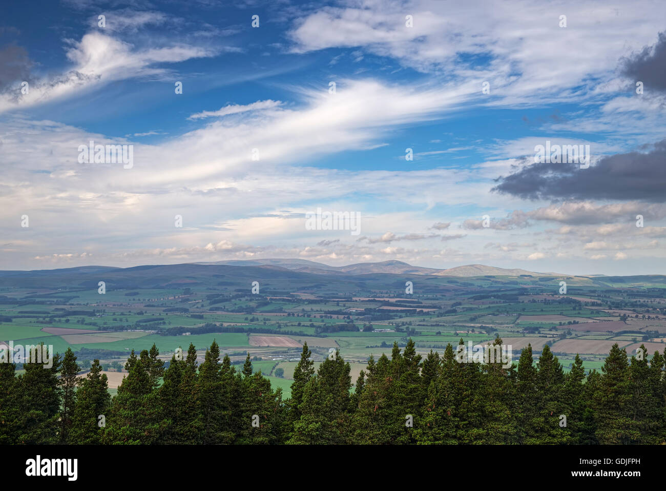 Looking across to the Cheviot Hills from the Simonside forest road ...