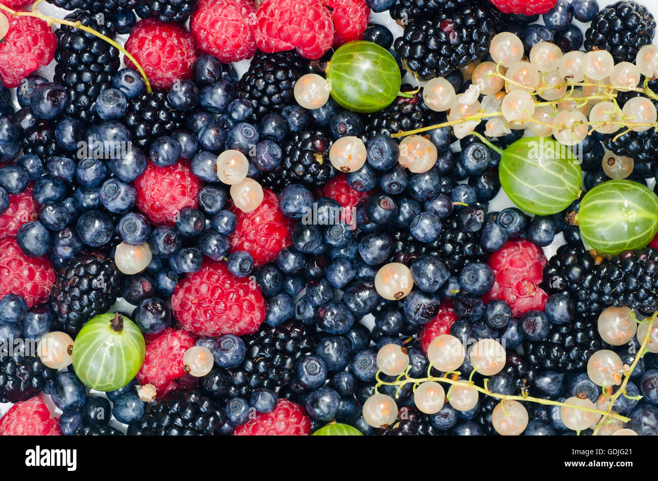 summer mixed colorful berries Stock Photo - Alamy