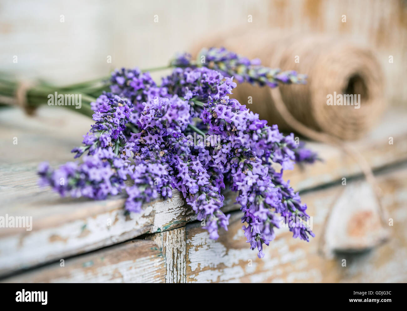 Fresh cut fragrant lavender plant flowers bunch Stock Photo - Alamy