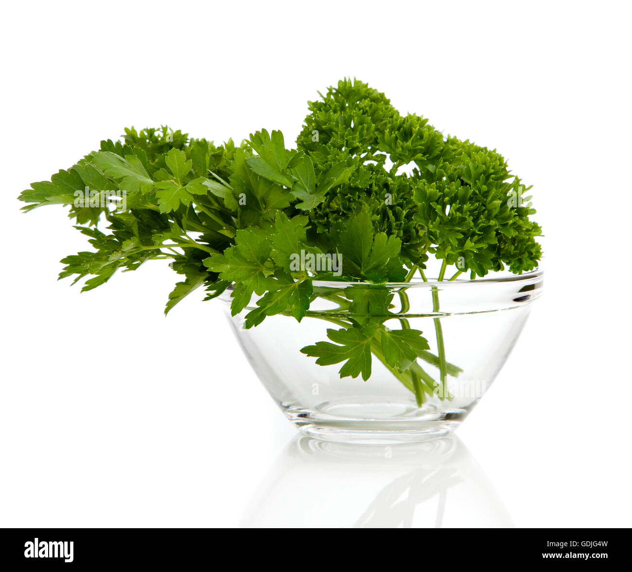 Parsley on white background hi-res stock photography and images - Alamy
