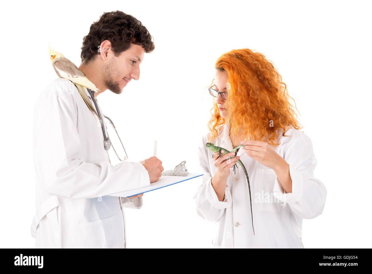 Career with animals Cut Out Stock Images & Pictures - Alamy