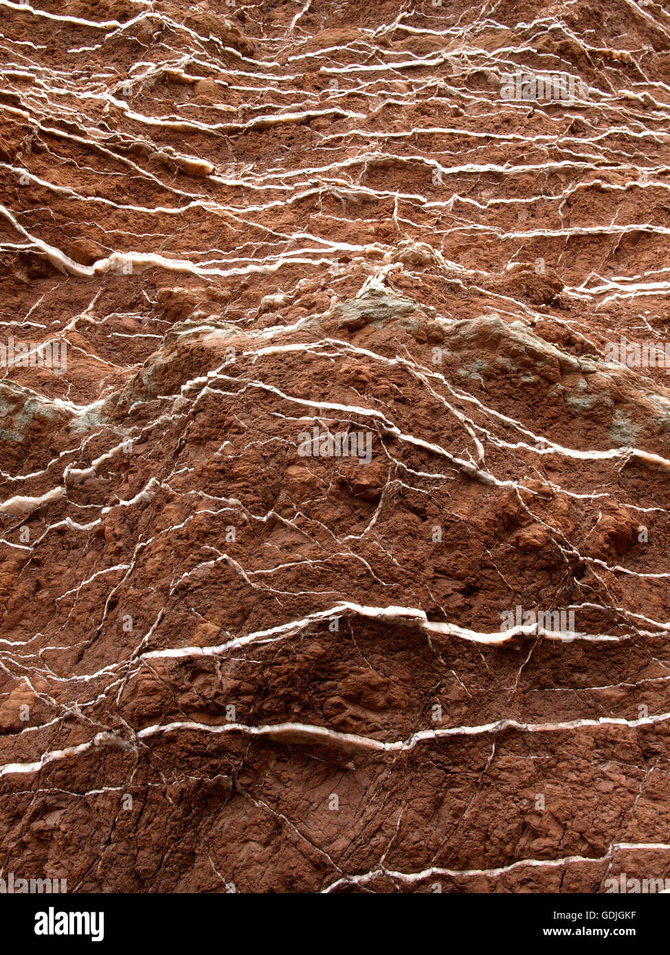 Geology of Watchet, Somerset, UK gypsum veins in the Mercia Mudstone of ...