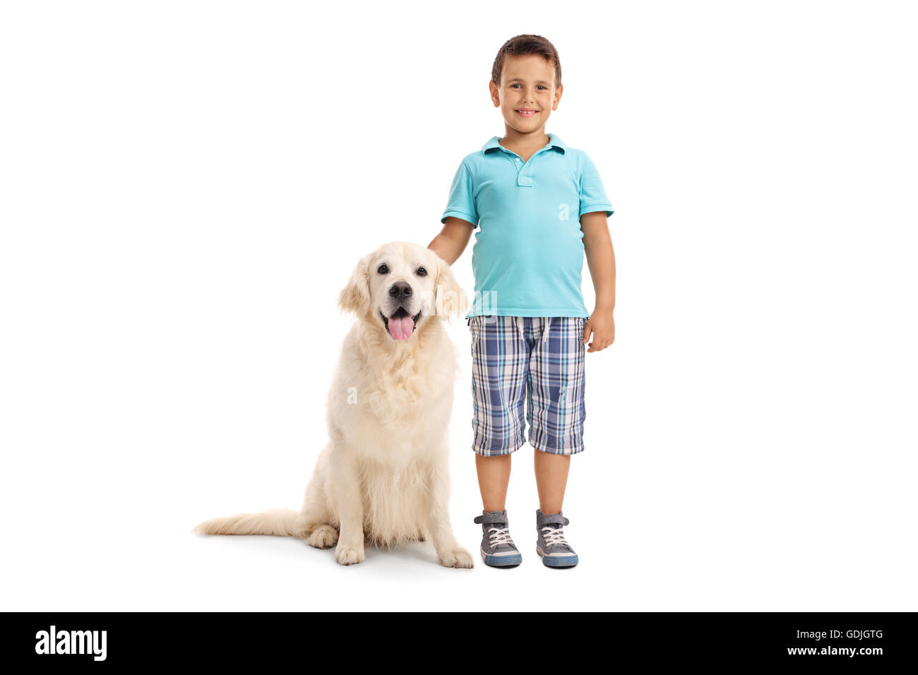 Cute little boy posing together with a young Labrador retriever dog ...