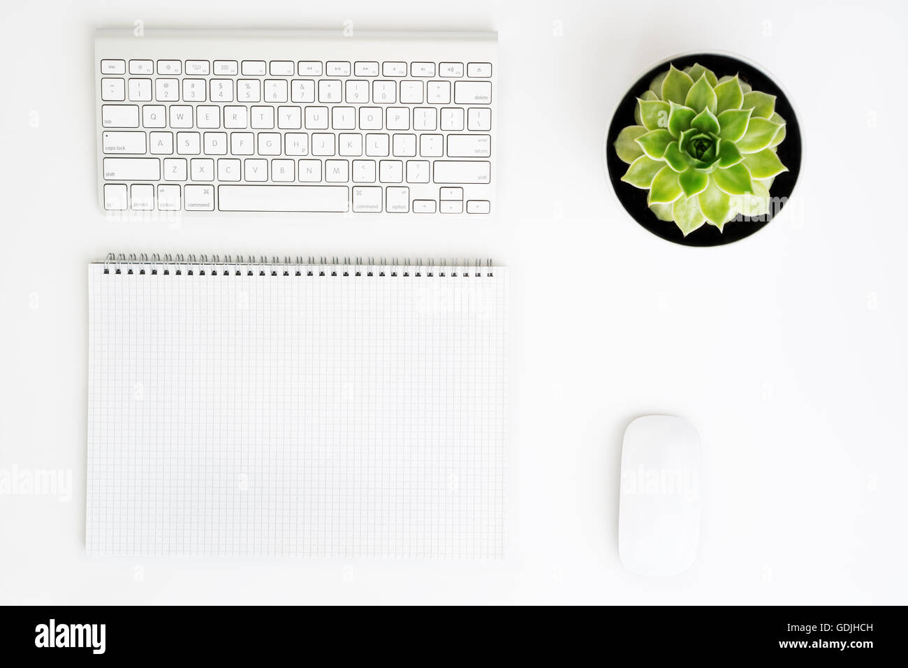 Computer table plant flower hi-res stock photography and images - Alamy