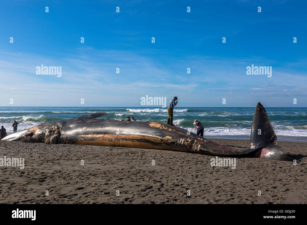 Nesika beach hi-res stock photography and images - Alamy
