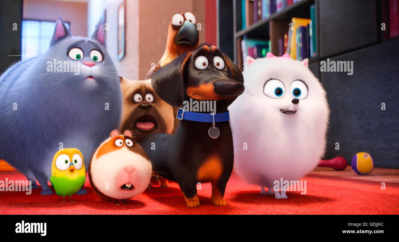 RELEASE DATE: July 8, 2016 TITLE: Secret Life of Pets STUDIO: Universal ...