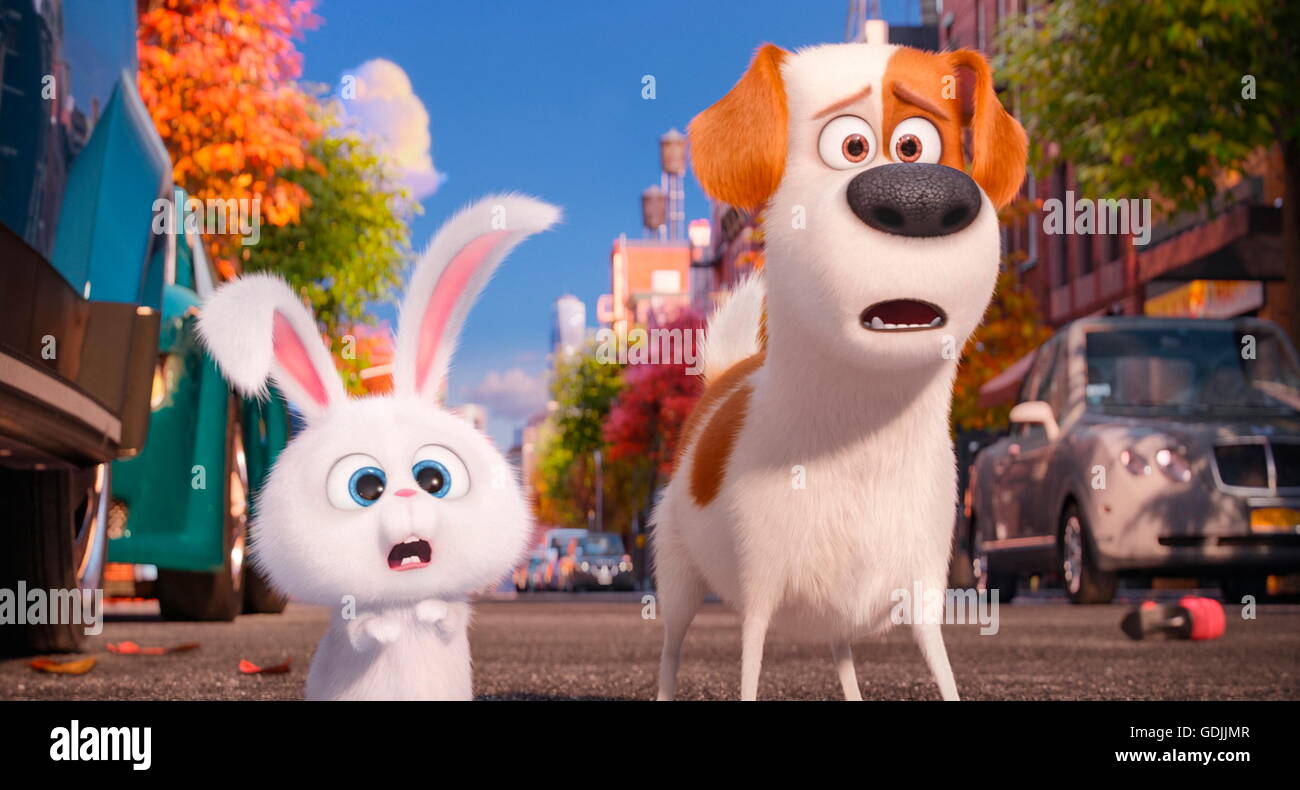 RELEASE DATE: July 8, 2016 TITLE: Secret Life of Pets STUDIO: Universal ...