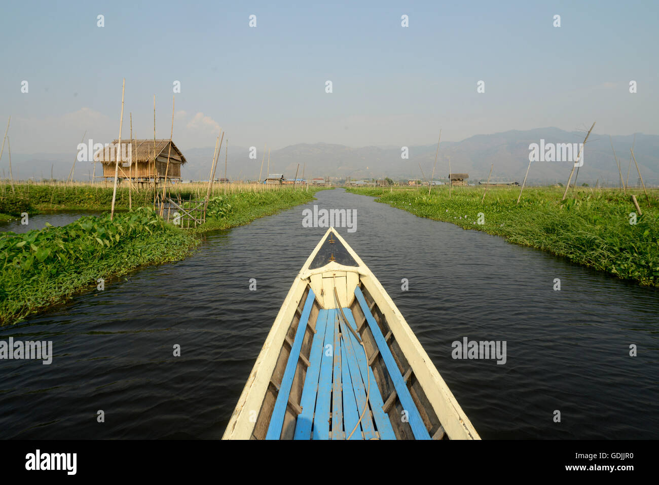 the floating gardens at the Inle Lake in the Shan State in the east of ...