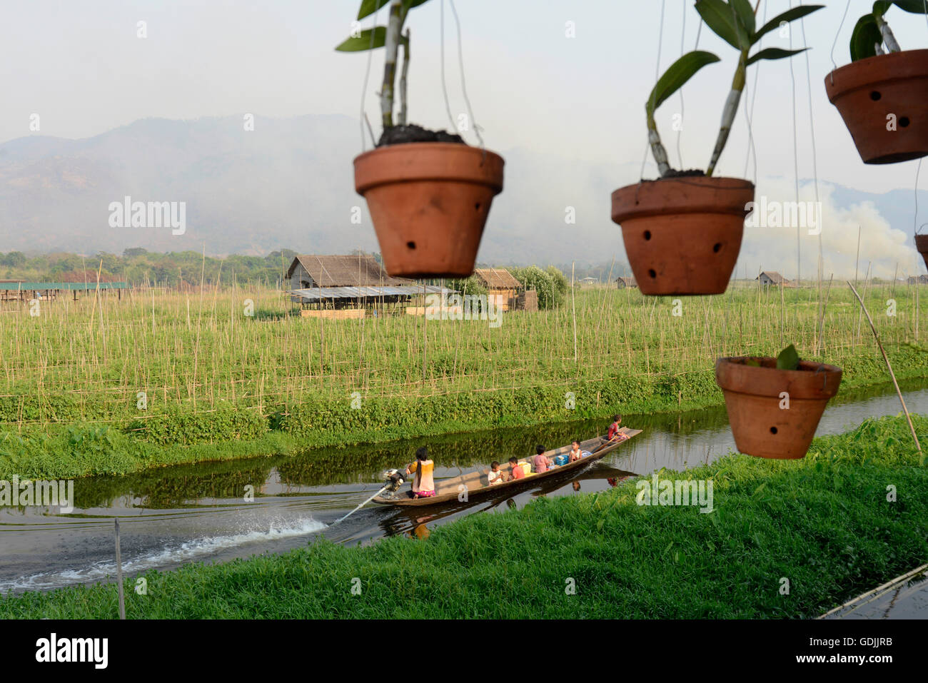 the floating gardens at the Inle Lake in the Shan State in the east of ...