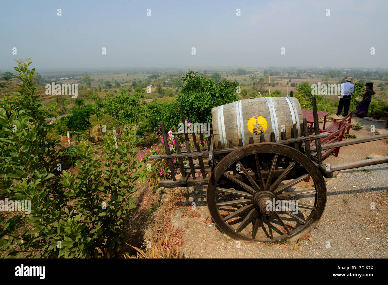 the Wine plantation of the Red Mountain Winery near the town of ...