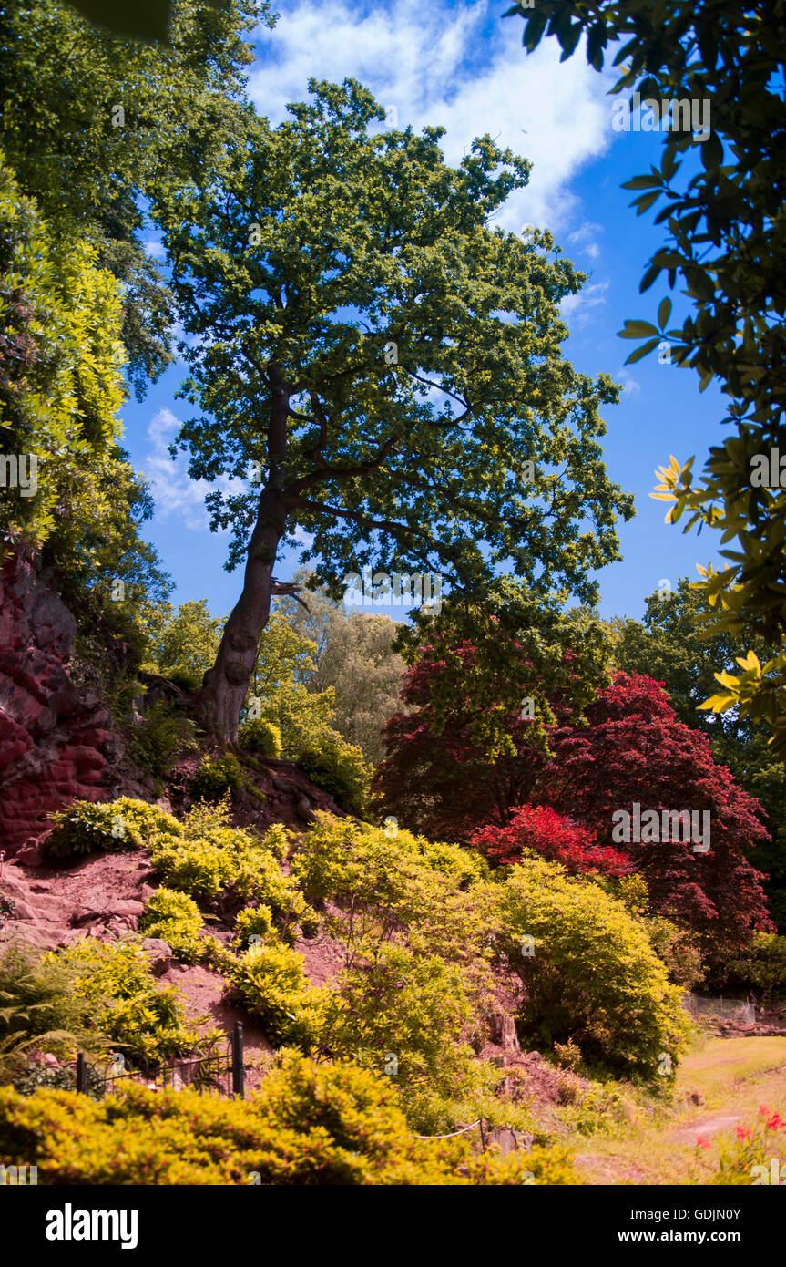 Designed gardens hi-res stock photography and images - Alamy