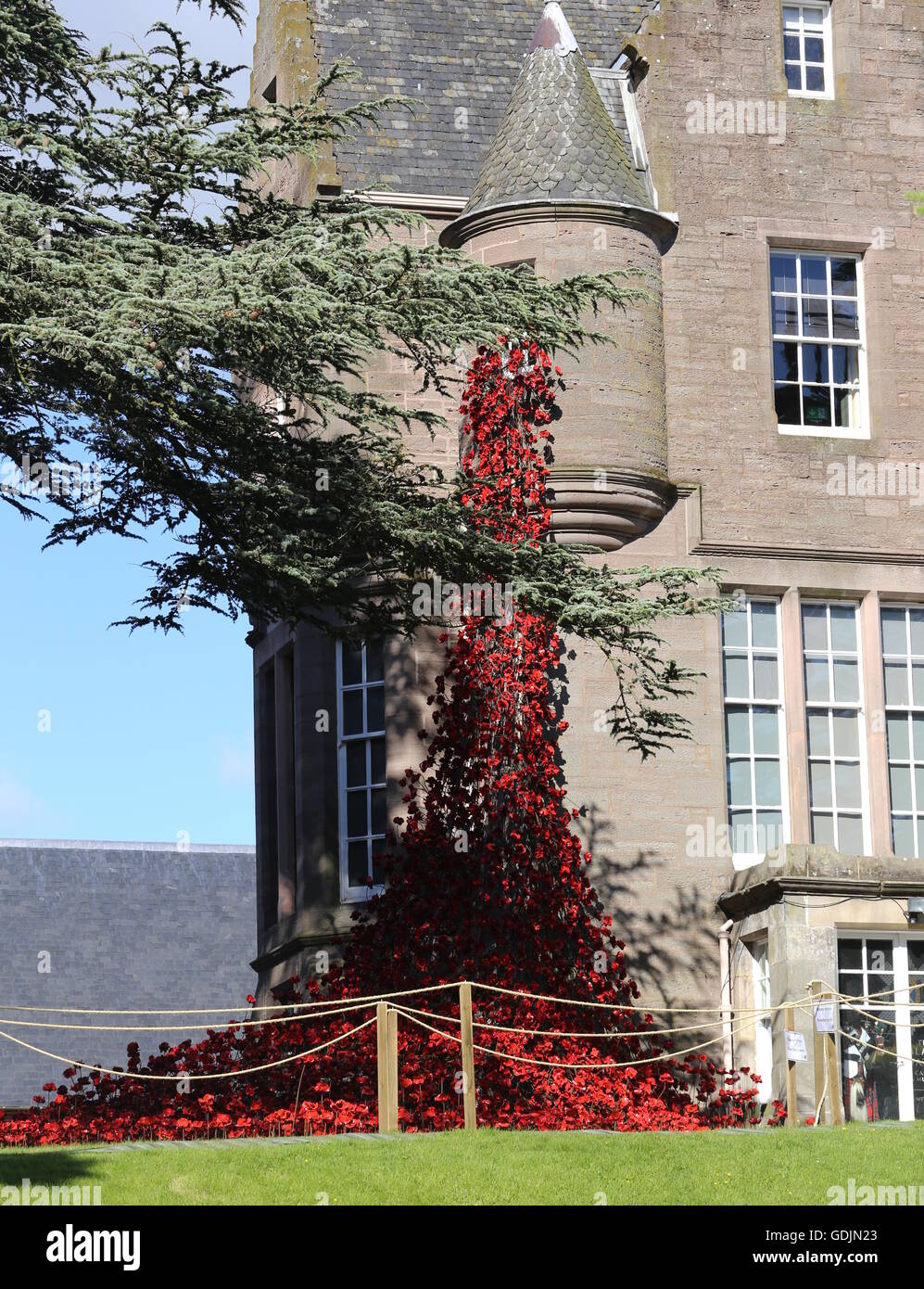 Poppies Weeping Window by Paul Cummins, Artist, and Tom Piper, Designer ...