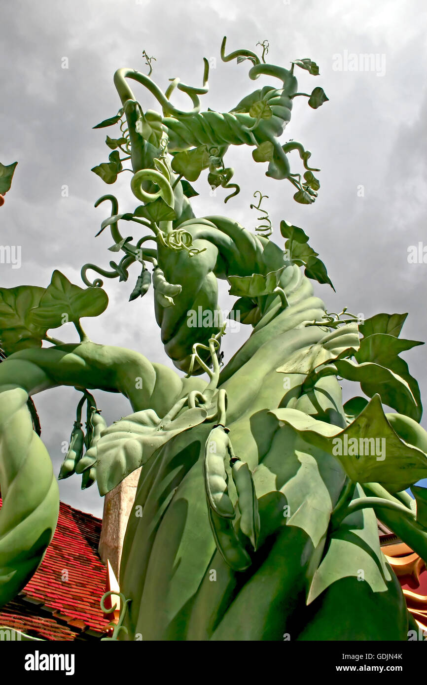 A beanstalk growing up into the sky Stock Photo - Alamy