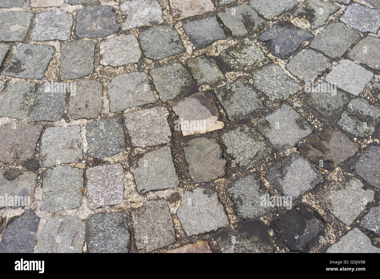 Old traditional european style cobblestone road texture background with ...