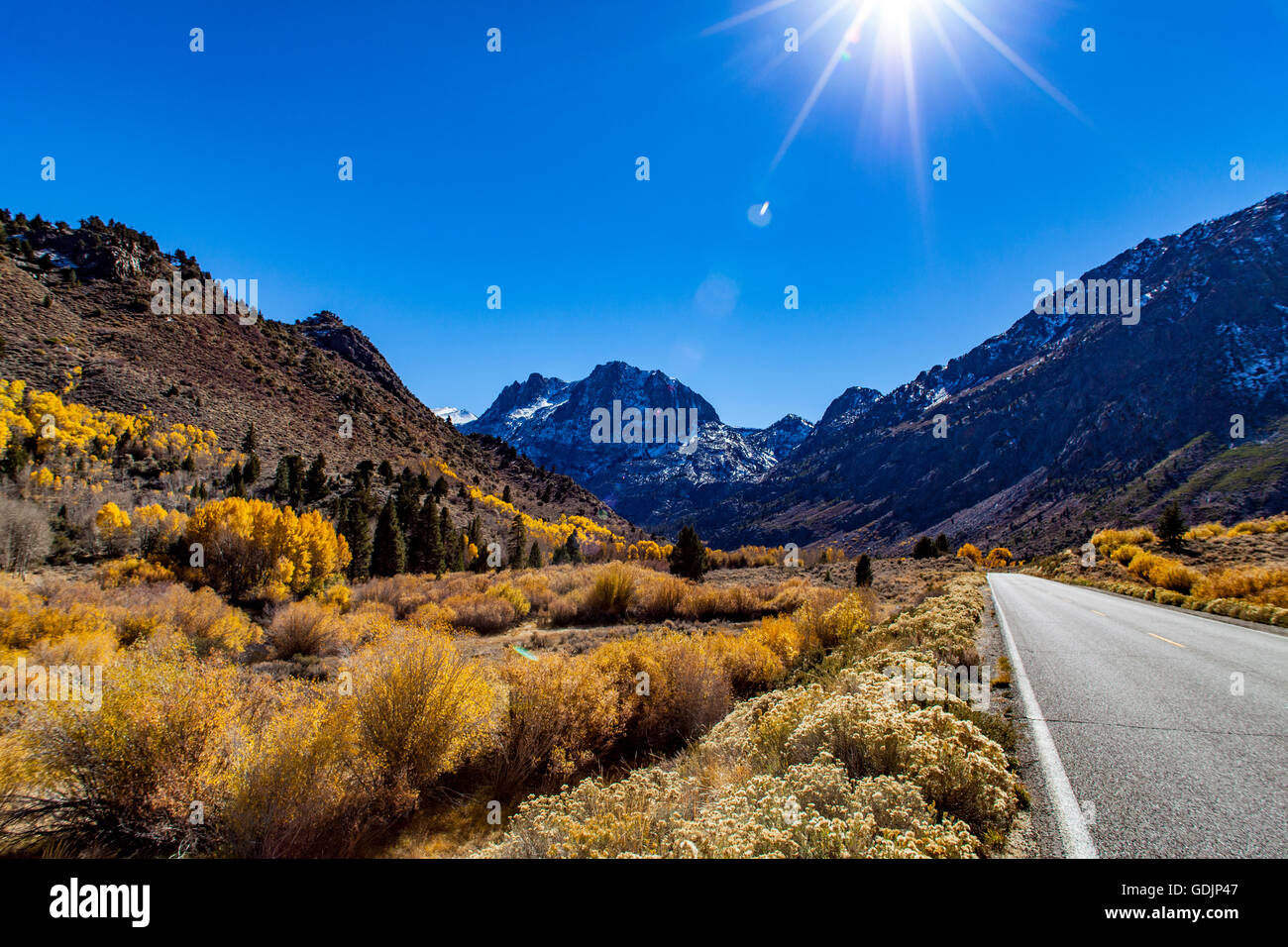 along California Highway 158 the June lake loop in the Eastern Sierra ...