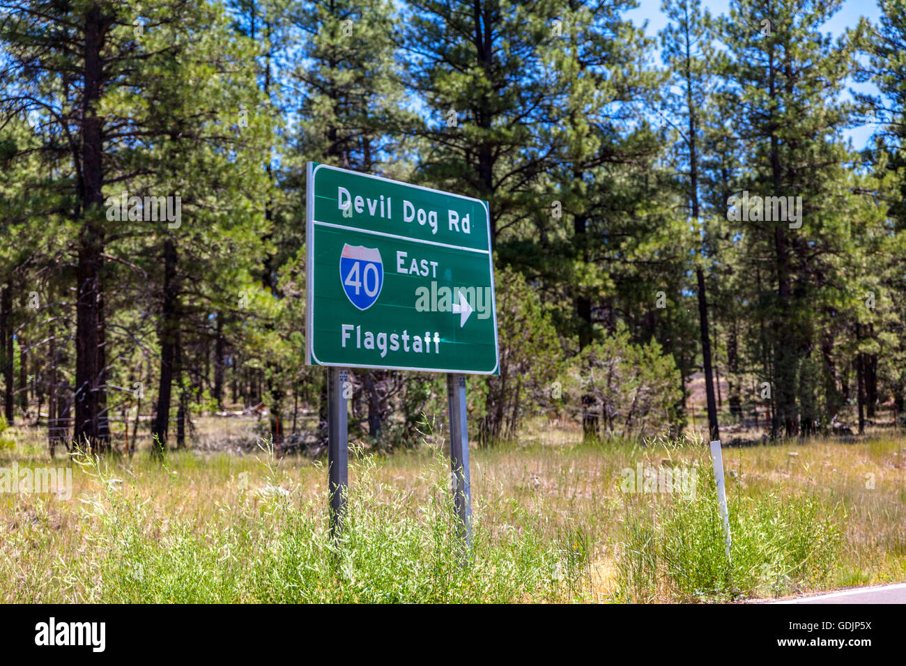 Devildog High Resolution Stock Photography and Images - Alamy